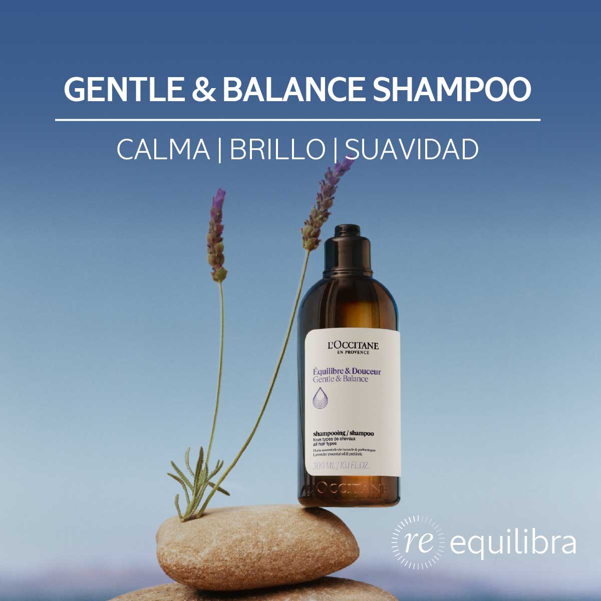 GENTLE & BALANCE SHAMPOO 500 ML – L'Occitane en Provence Mexico